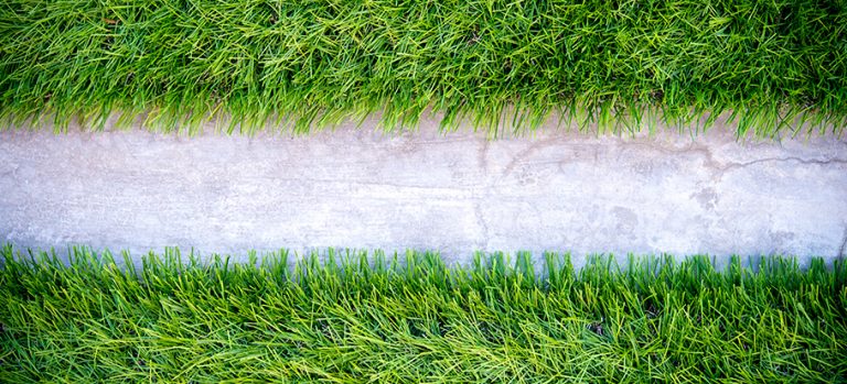 How to Make Laying Turf on a Concrete Work? - FS Blog UK