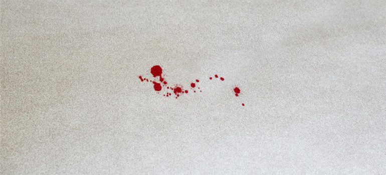 6 Ways to Remove Blood from Your Carpet - Fantastic Services UK