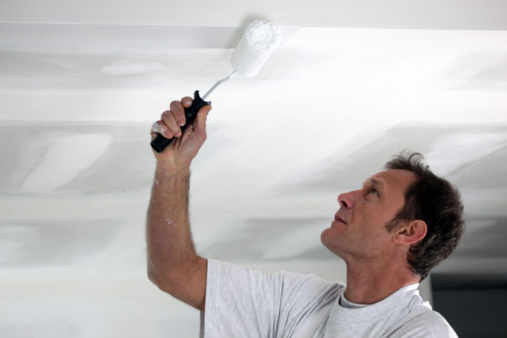 The ULTIMATE Guide: Painting Newly-Plastered Ceiling & Walls