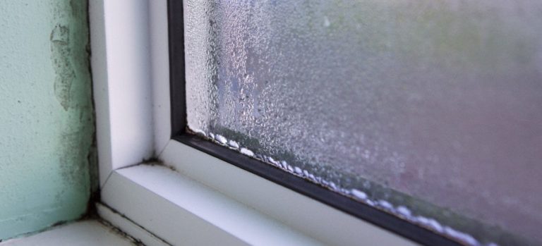 Condensation Dripping From Oven Door: Causes & Solutions - FS