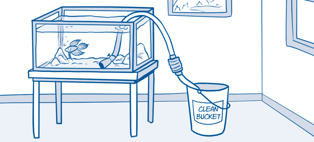 Moving With Fish | Relocating an Aquarium | Fantastic Services UK