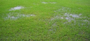 Tips to Fix a Waterlogged Lawn - Fantastic Services Blog UK