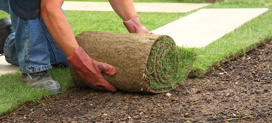 Can turf store