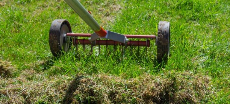 When Exactly to Scarify a Lawn? - Explained by Fantastic