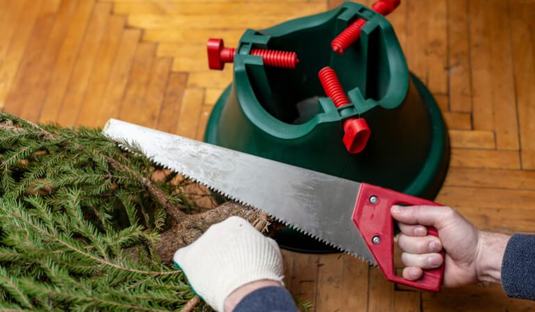 How Much Is a Christmas Tree? Cost Guide for 2025 by Fantastic