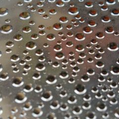 Effective Way to Clean Dirty Edges of Carpet - Guide by Fantastic